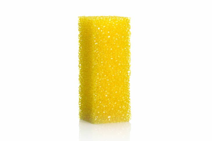 Hard Scrub Sponge – Sponge Guru