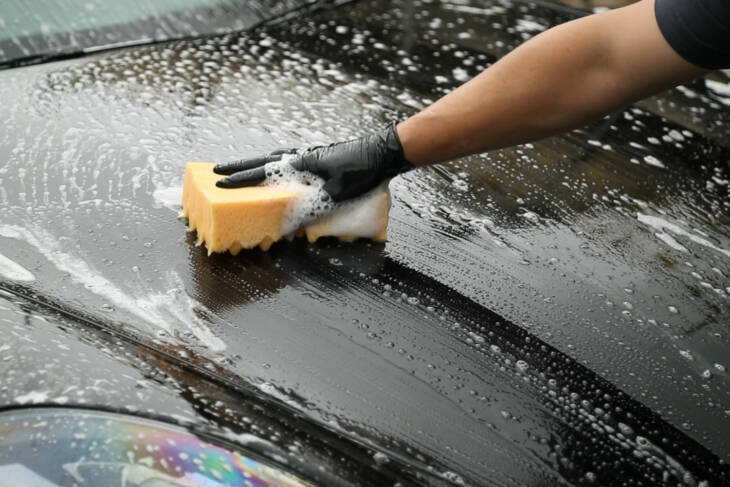 Ultimate Profile Sponge – Sponge Guru